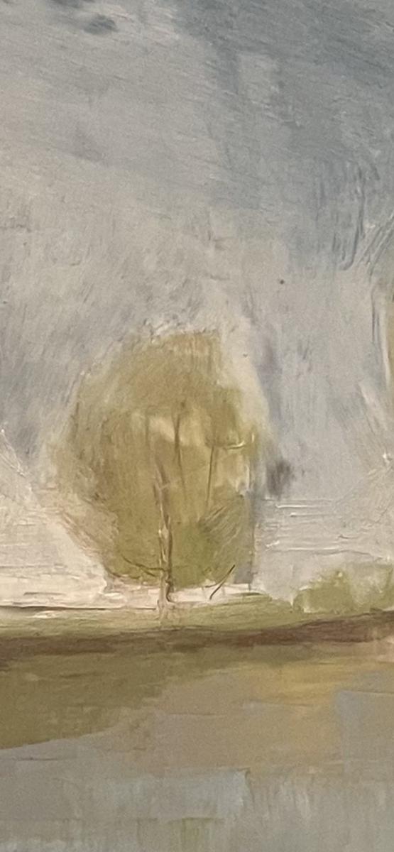 Seeing Trees Through Your Eyes - Speak for the Trees, Boston